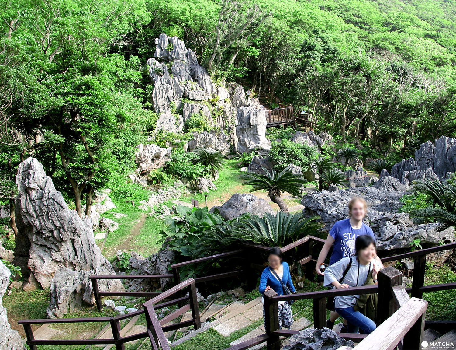 A Journey To Okinawa’s North, Yanbaru | MATCHA - JAPAN TRAVEL WEB MAGAZINE