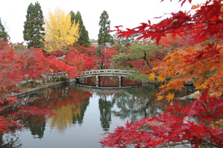 See Kyoto In Autumn - 11 Places To Visit For Foliage In 2018 | MATCHA ...
