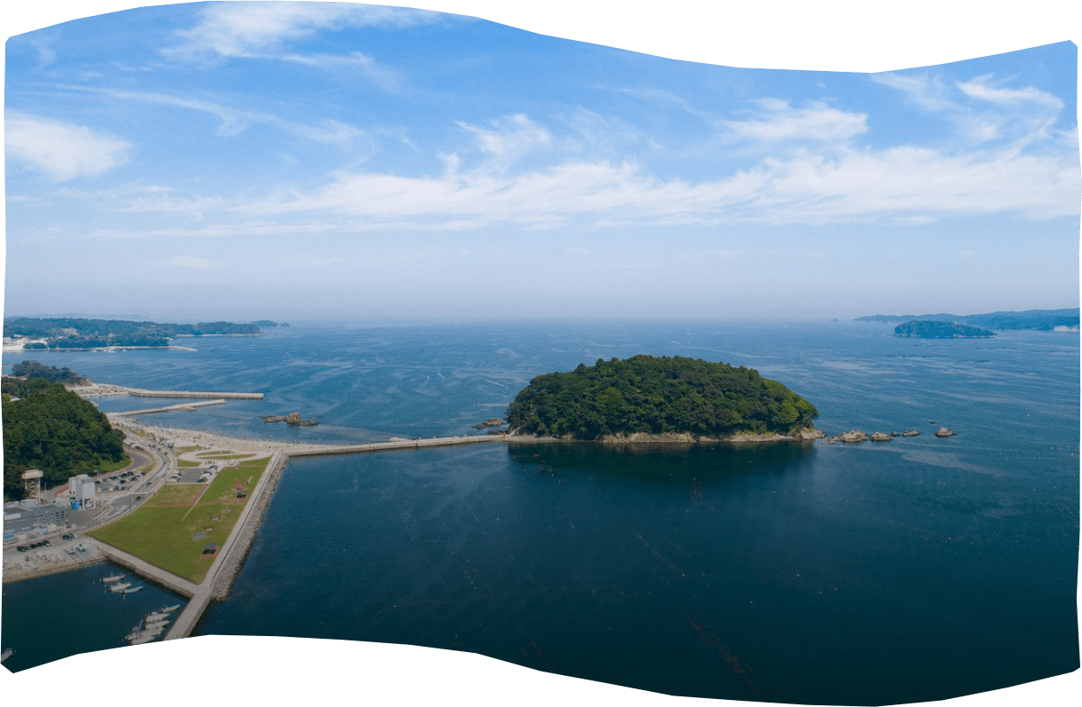 Umiuma - An Introduction to the Seafood of Tohoku | MATCHA - JAPAN ...