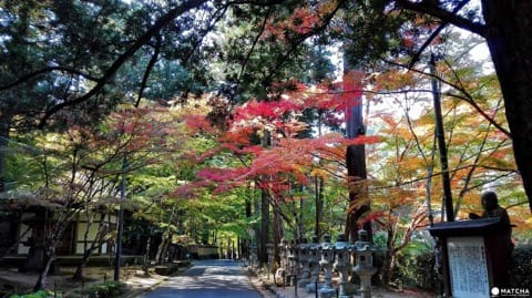 Hiroshima In Autumn - Stunning Fall Colors You Don't Want to Miss ...