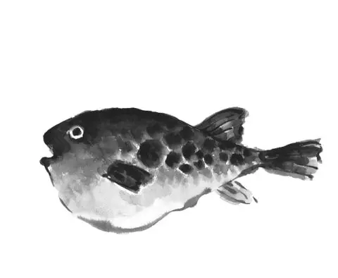 Fugu Fish Drawing
