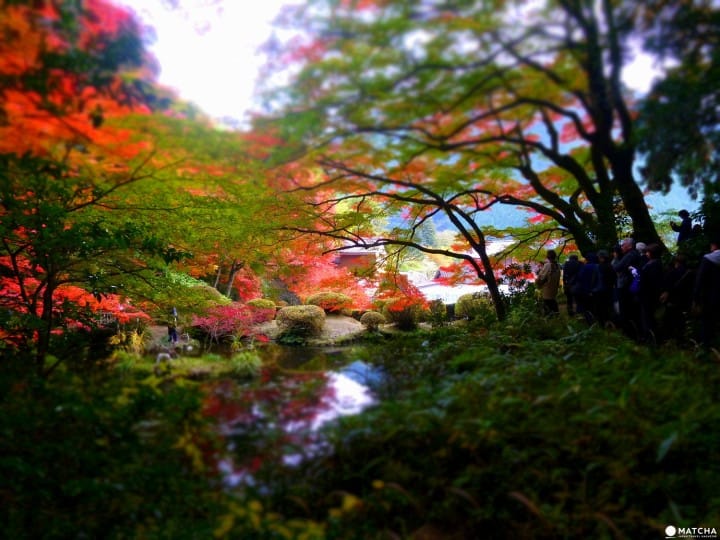 Hiroshima In Autumn - Stunning Fall Colors You Don't Want to Miss ...