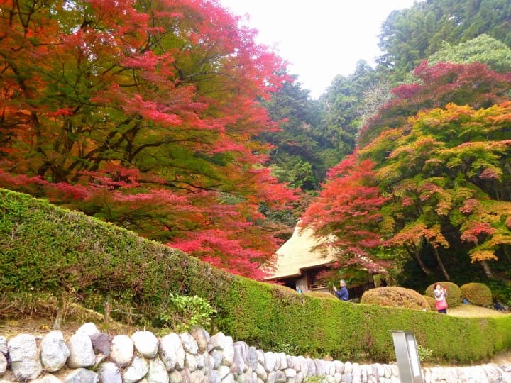 Hiroshima In Autumn - Stunning Fall Colors You Don't Want to Miss ...