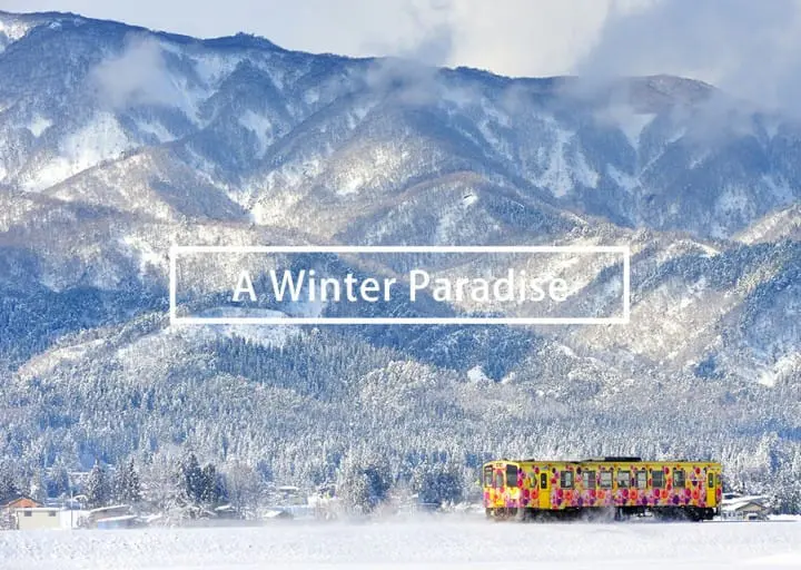A Winter Paradise - Japan Travel Guide MATCHA