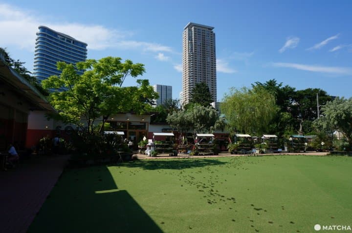 【東京美食】植物系複合式空間「Share Green Minami Aoyama」 享受都會慢活好時光 | MATCHA - 日本線上旅遊觀光雜誌