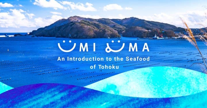 Umiuma - An Introduction to the Seafood of Tohoku | MATCHA - JAPAN ...