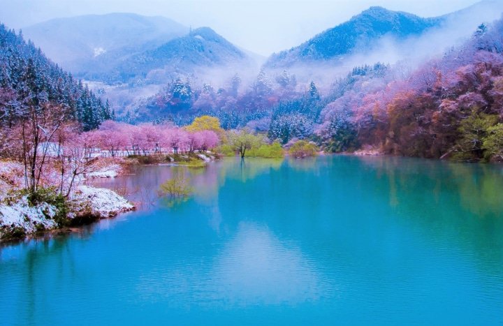 Free Online Tour! Discover Magnificent Nature in Greater Tokyo | MATCHA ...