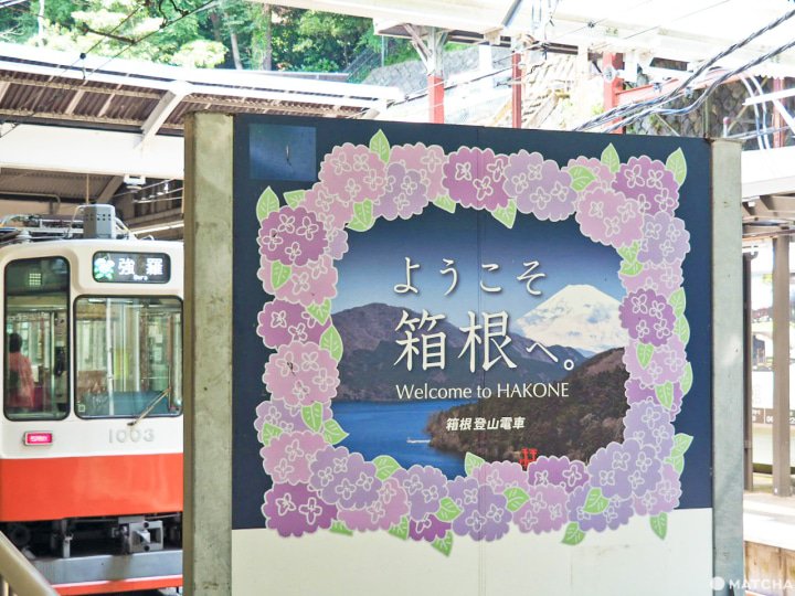 Hakone Tozan Railway: Hydrangea Photo Spots and New Highlights | MATCHA ...