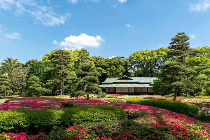 Top 5 Splendid Hydrangea Spots in and Around Tokyo | MATCHA - JAPAN ...