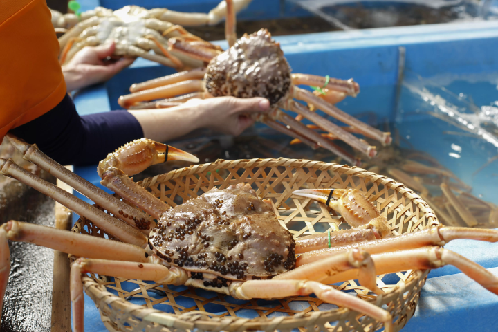 Tango Himonoya Restaurant/Souvenir Shop - Japan Travel Guide MATCHA