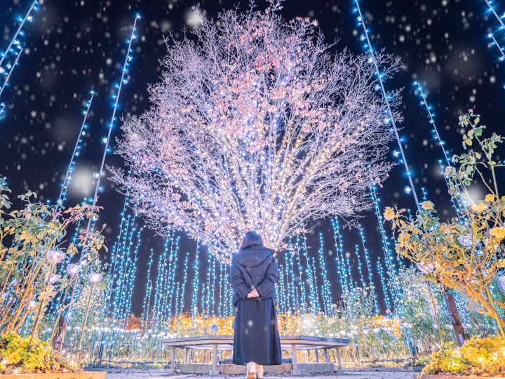 Award Winning Illuminations in Japan: 15 Dazzling Light-up Events ...